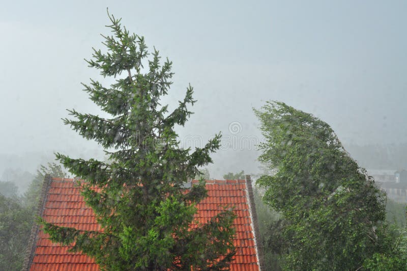 Tempest wind stock image. Image of heavy, trees, hurricane - 48374983