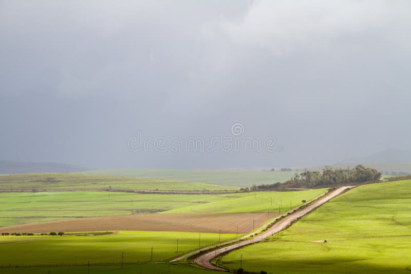 Tempestad De Truenos Sobre Los Llanos Verdes Foto de archivo - Imagen ...