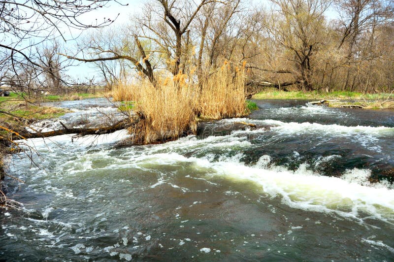 Tempestuous River with Small Stone Rapids Stock Image - Image of small ...
