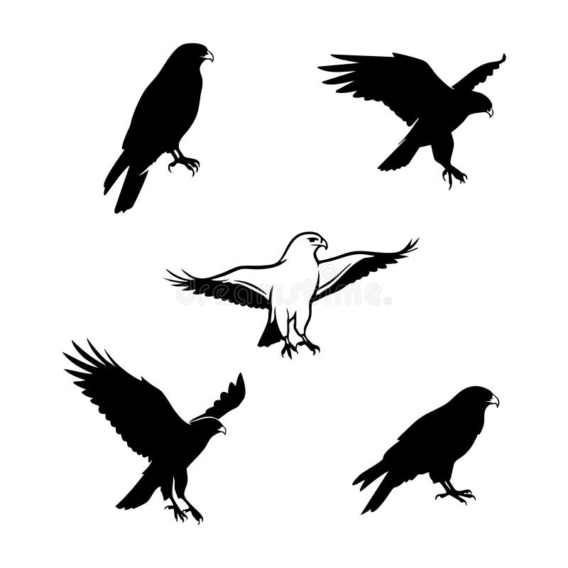 Silhouette Set of Hawk on White Background Stock Illustration ...
