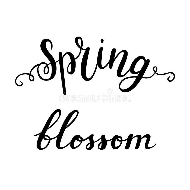 Spring Blossom Hand Lettering. Vector Inspirational Lettering Stock ...