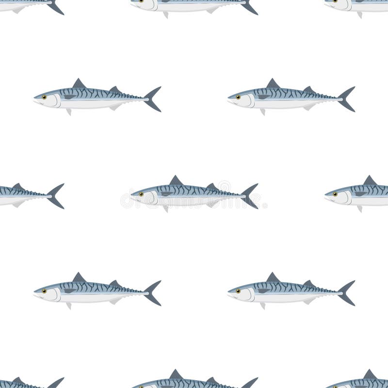 Mackerel. Commercial Fish Species Stock Illustration - Illustration of ...