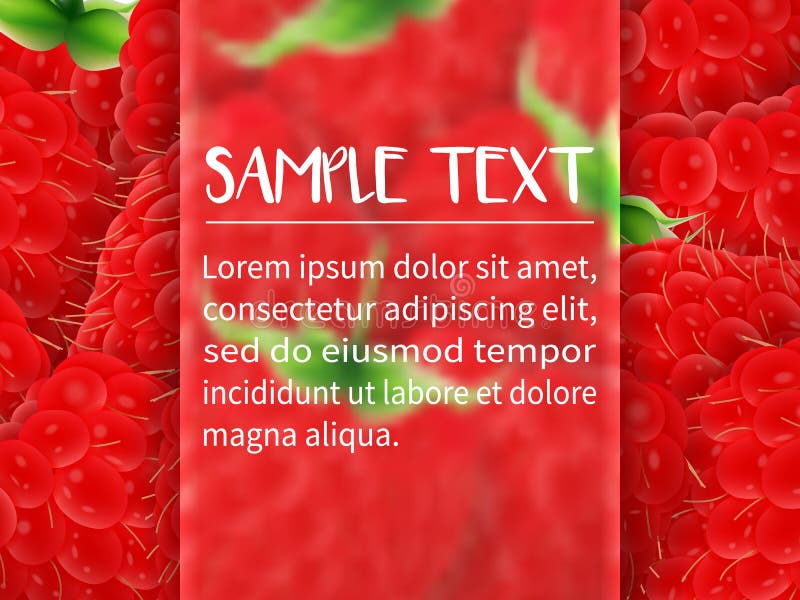 Template for Design with Frame for Text. Red Ripe Raspberries Stock ...