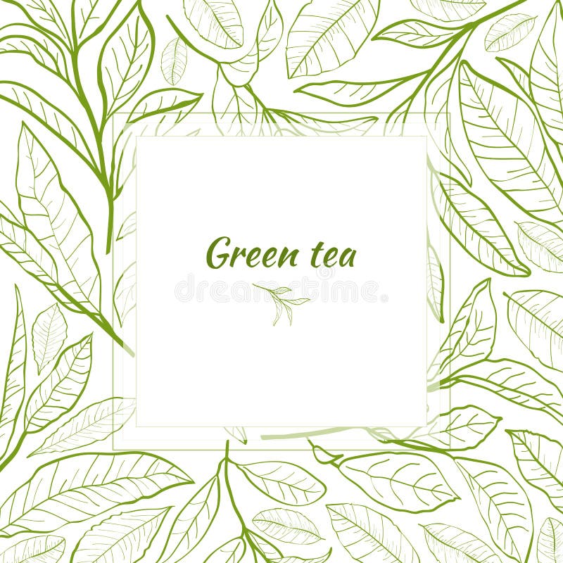 Template for Design with a Set of Tea Leaves Stock Vector ...