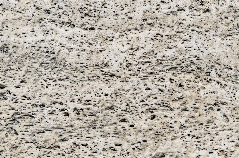 Ancient Stone Shell Rock Background Stock Image - Image of textured ...