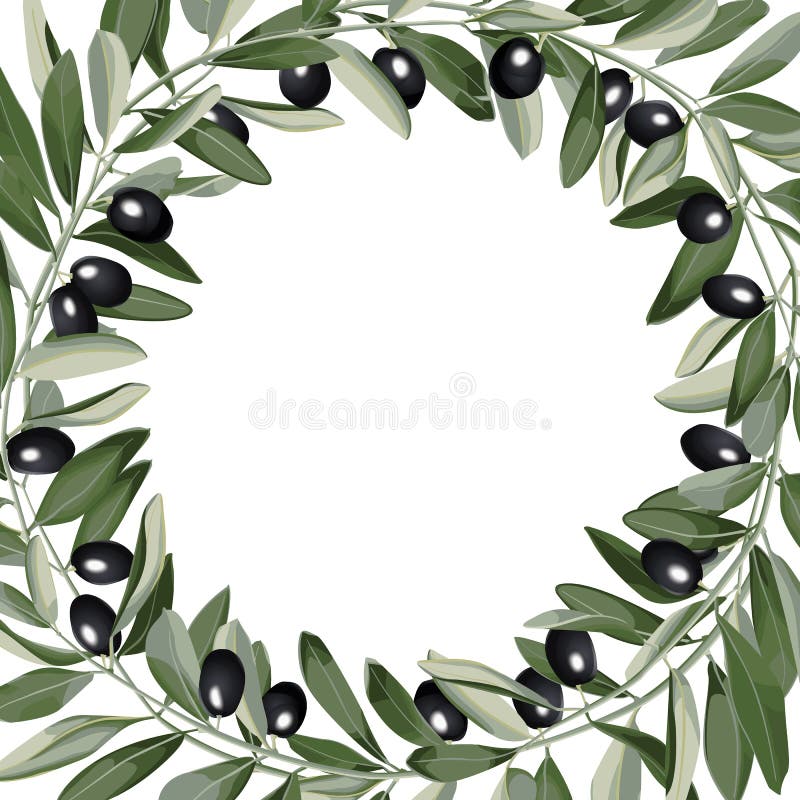 Olive Branch Seamless Border Stock Vector - Illustration of beans ...