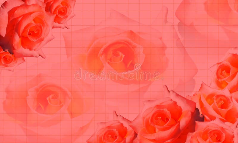 Template Red and Pink Roses Background, Background, Name Card, Copy ...