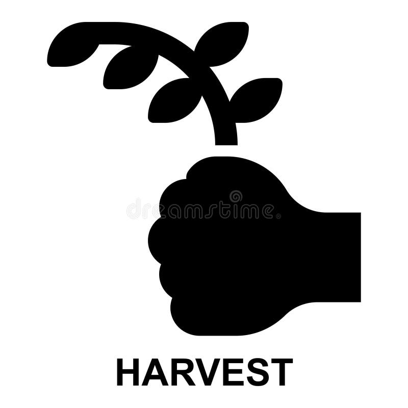 Harvest, Harvesting, Uprooting, Holding, Plant, Ecology, Farming Solid ...