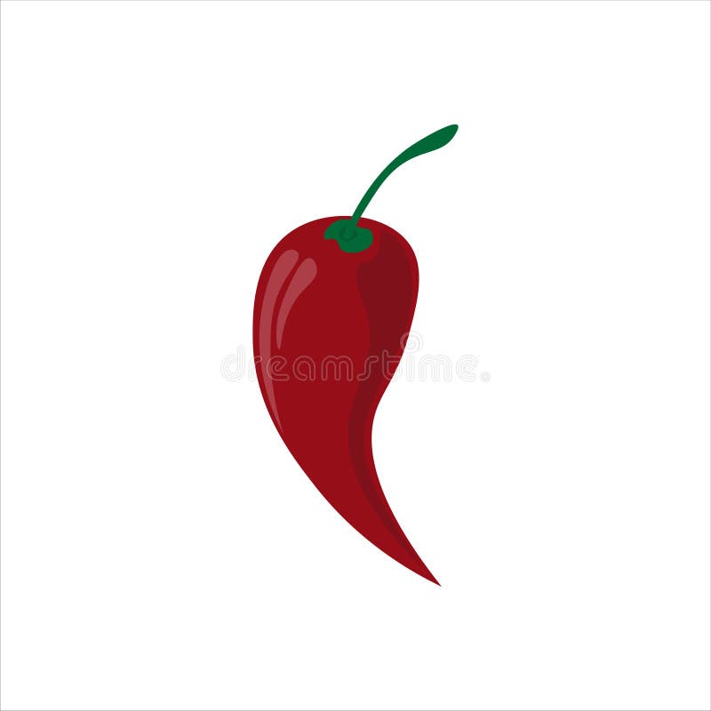 Fresh Spicy Chilli Illustration Stock Vector - Illustration of pink ...