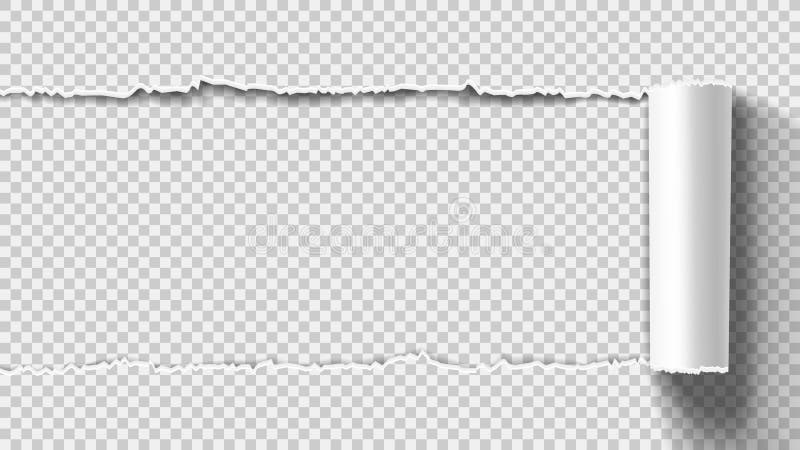 Template of Vector Torn Paper Stock Vector - Illustration of edge, card ...
