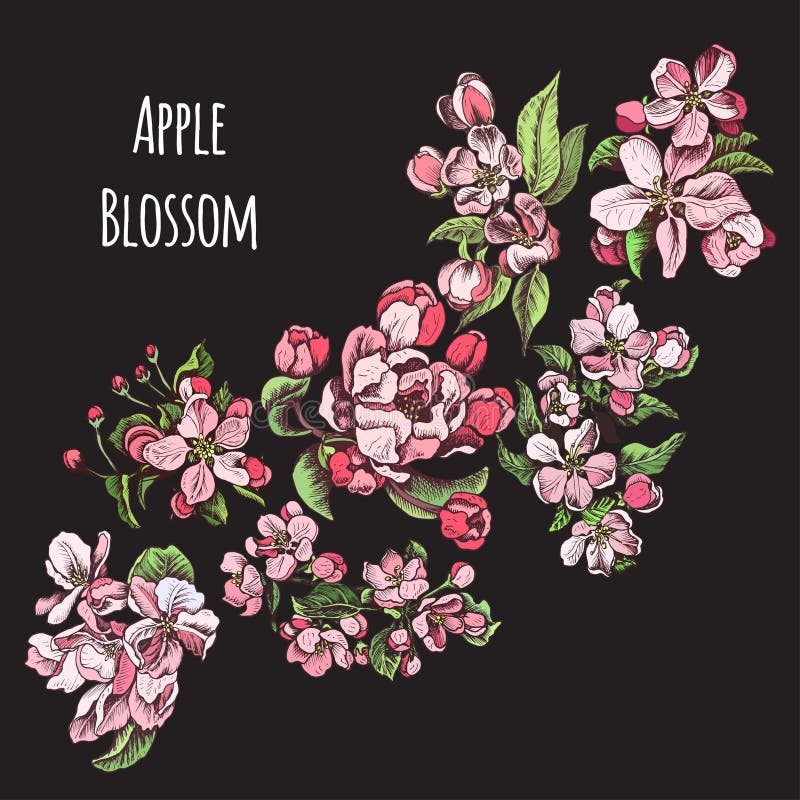 Template for Wedding Invitation. Card Vector Illustration with Apple ...