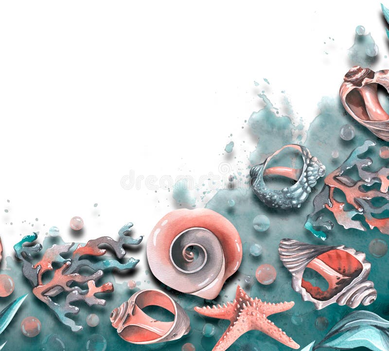 Template, White Background with Different Broken Shells and Starfish in ...