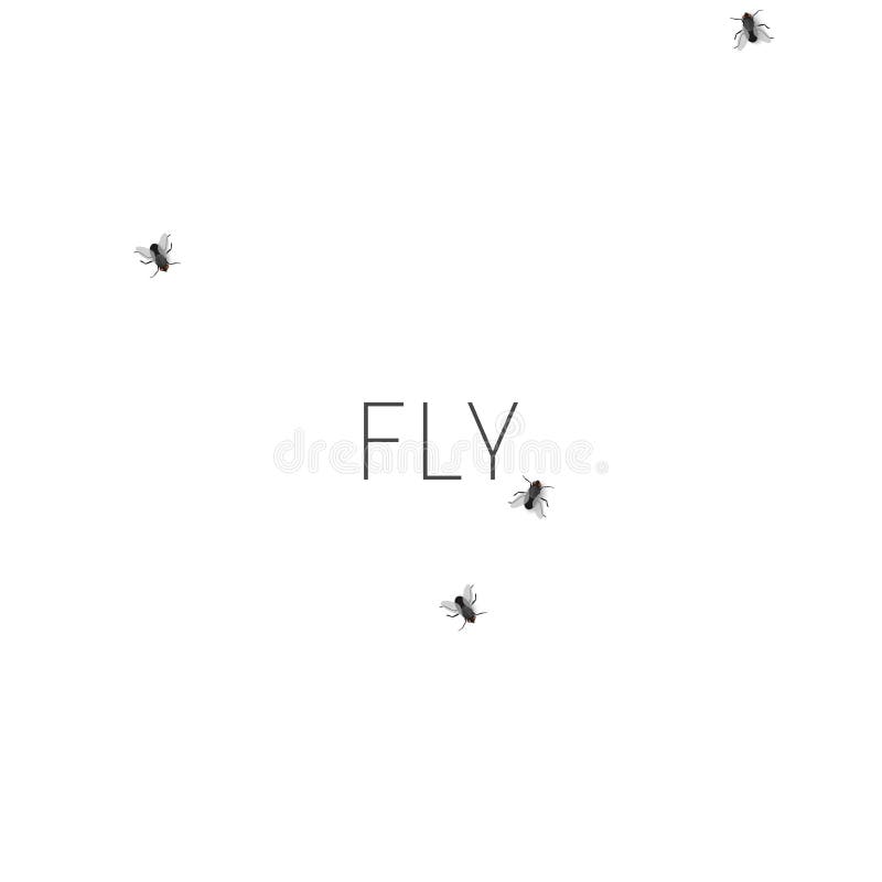 Blackfly Stock Illustrations – 94 Blackfly Stock Illustrations, Vectors ...