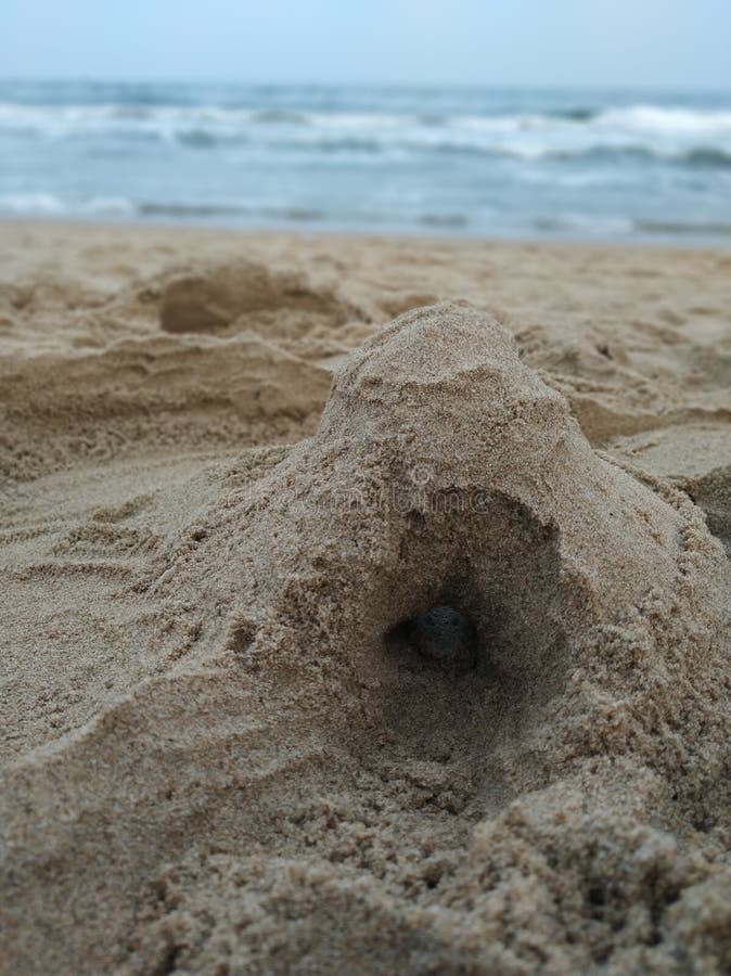 Sand Temple stock photo. Image of sand, built, beach - 132844196
