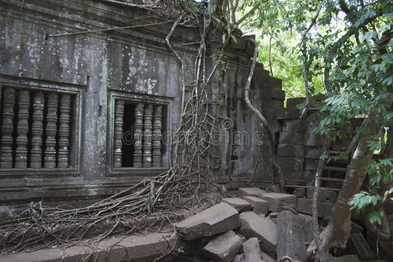 Temple Covered in Tree Roots, Angkor Wat, Stock Image - Image of ...