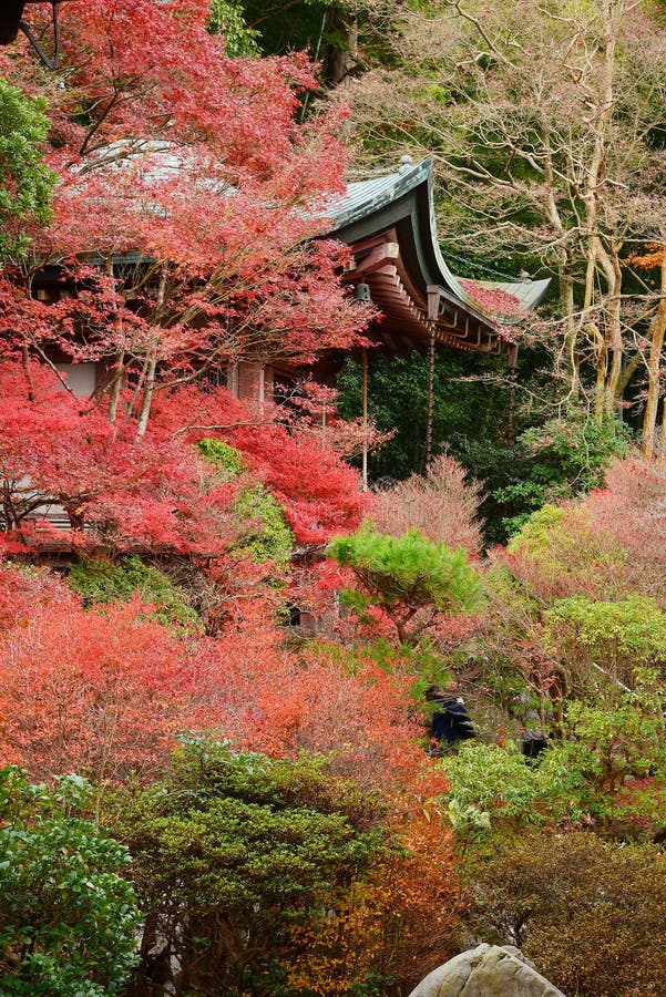 Temple in fall stock image. Image of travel, buddhist - 54023557