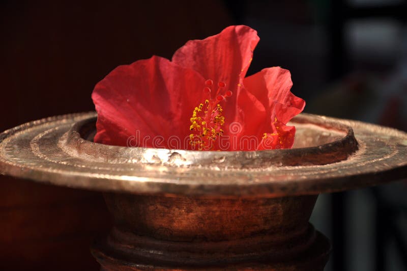 Temple flower stock image. Image of buddhism, bronze, vase - 9203491
