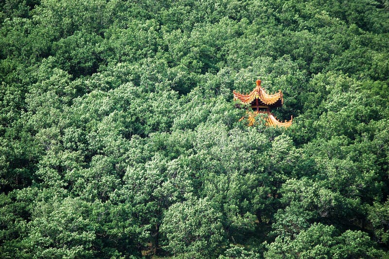 Temple in forest stock photo. Image of china, green, tree - 5937166