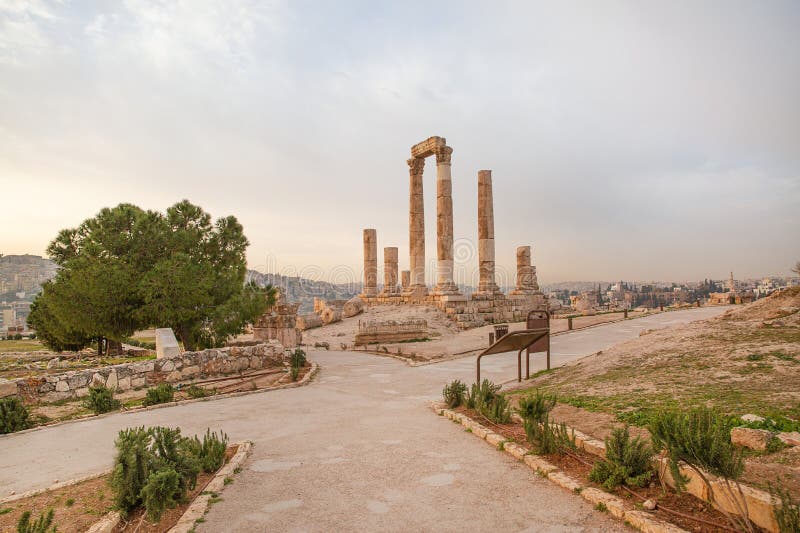 Temple of Hercules in Amman Citadel Complex, Jordan Stock Photo - Image ...