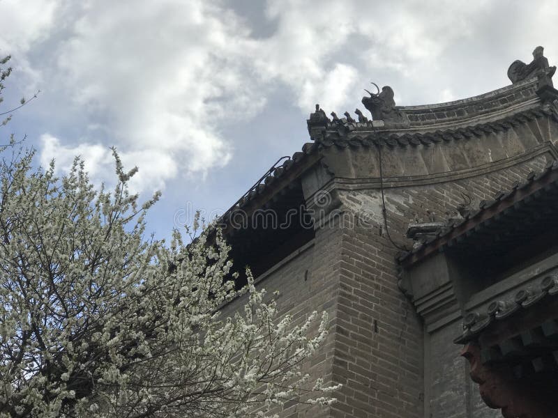 Temple stock photo. Image of temple, lama, tree, chinese - 143671798