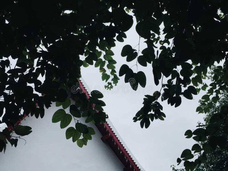 Temple in the nature stock image. Image of cloudy, shadow - 107299285