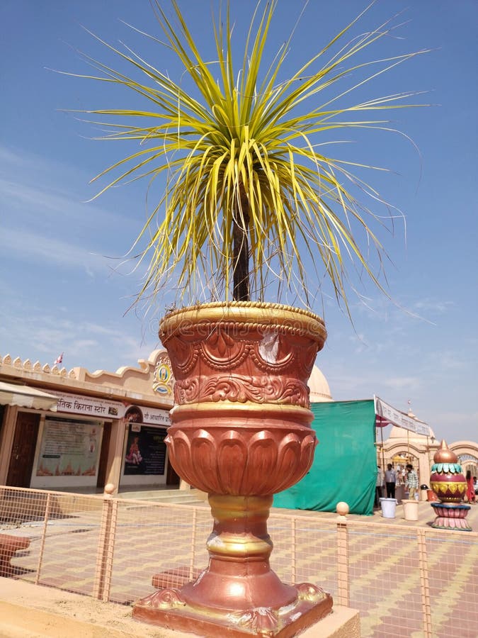 Temple and nature editorial stock photo. Image of landmark - 212293978