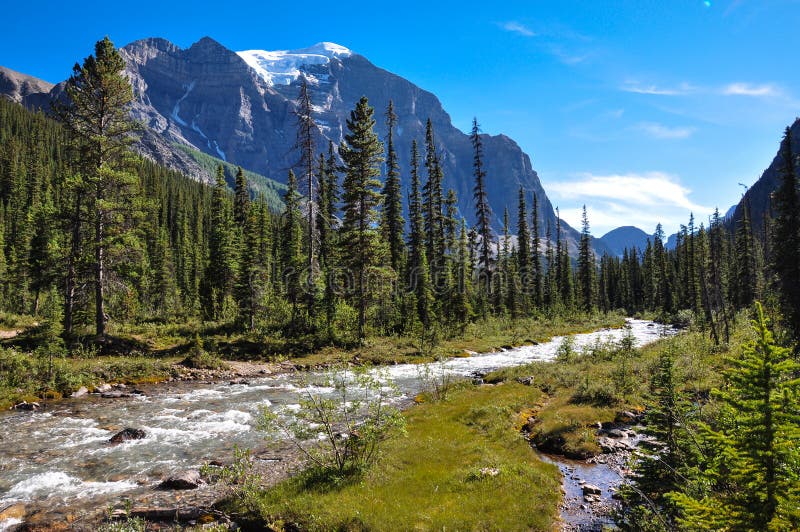 Temple Pass Trail in Banff National Park, Alberta, Canada Stock Image ...