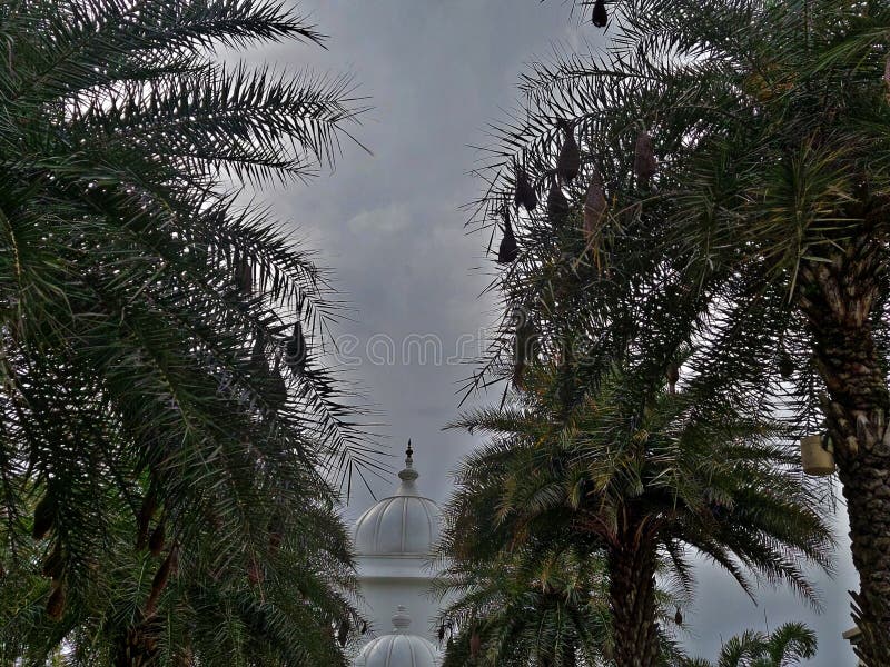 Temple and Religious Place in India Stock Image - Image of garden ...