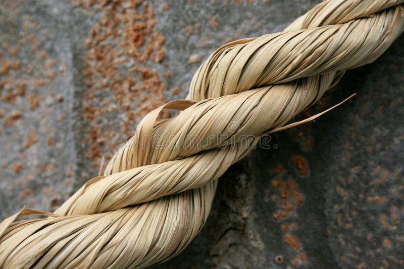 Temple rope stock image. Image of japan, rope, tree, shrine - 30546357