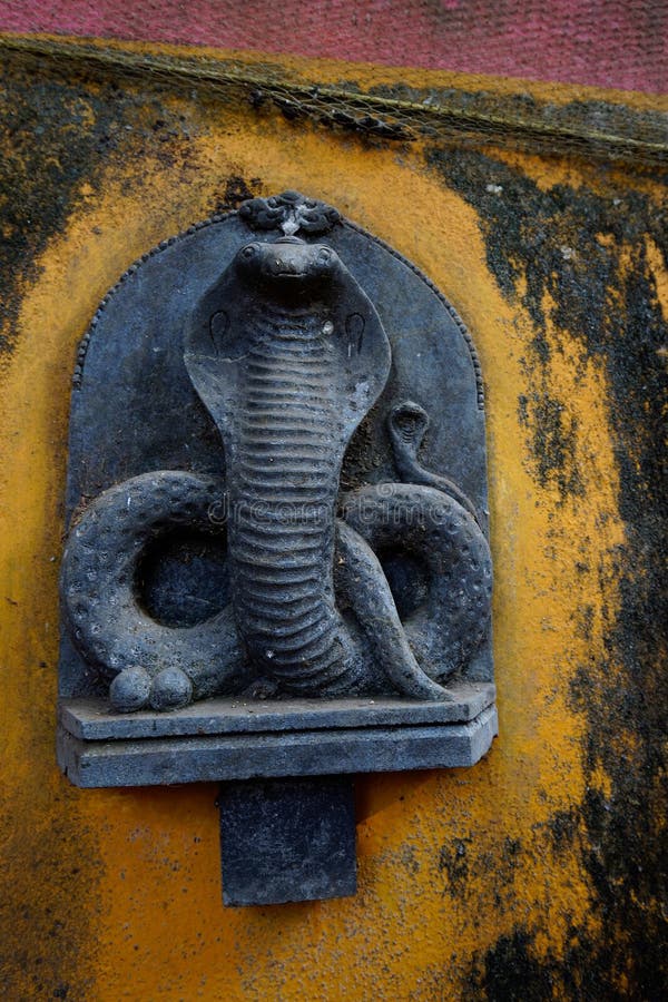 1,024 Cobra Temple Stock Photos - Free & Royalty-Free Stock Photos from ...