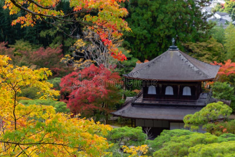 Temple Surrounded of Colored Trees in Kyoto Japan Stock Photo - Image ...