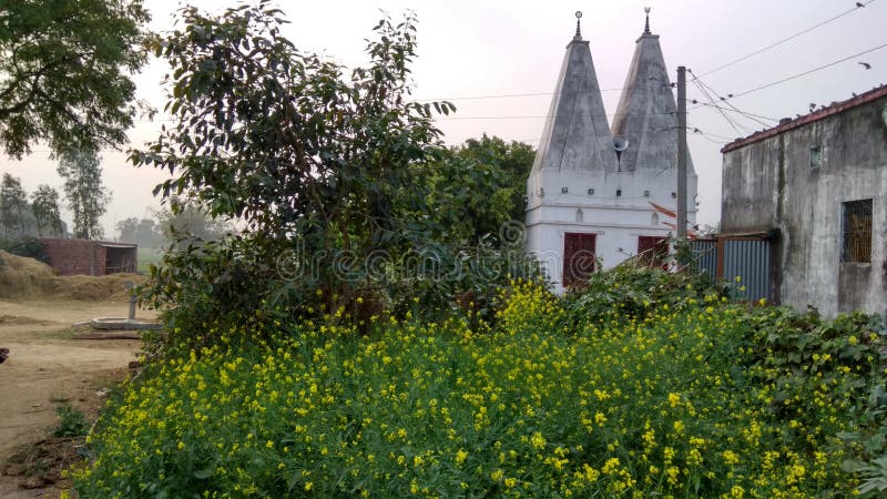 Temple in Village in Bihar India Stock Image - Image of india, temple ...