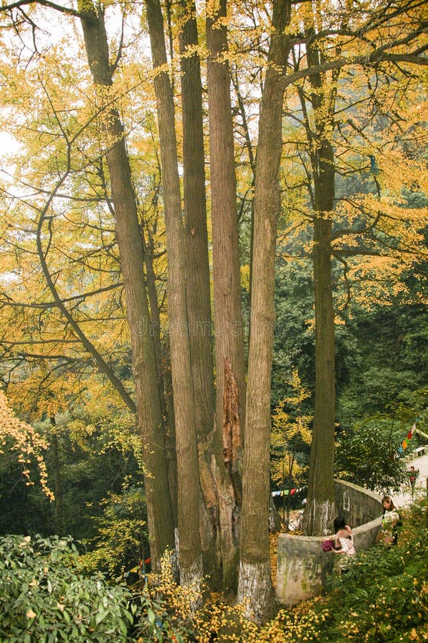 Templo Blanco De La Roca En Sichuan, China Foto editorial - Imagen de ...