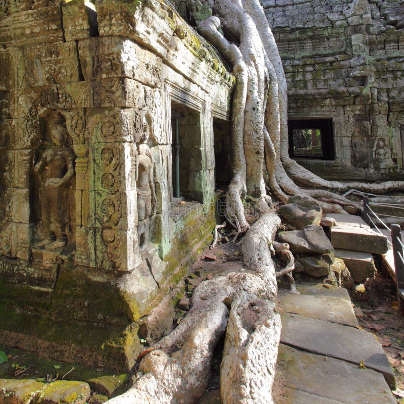 Templo de TA Prohm imagen de archivo. Imagen de cultura - 22732381