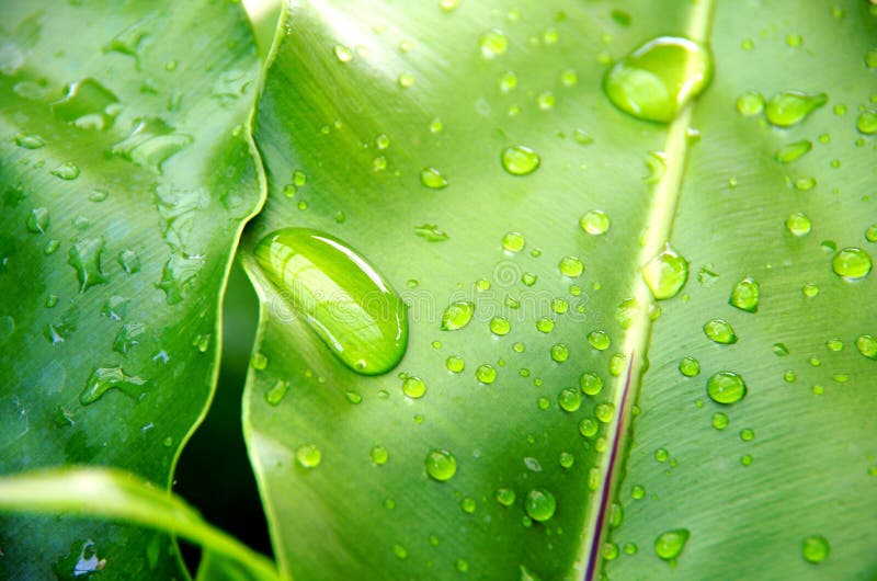 Temporarily Embarked stock photo. Image of dots, appreciation - 24246776