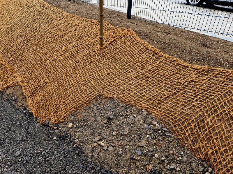 Temporary Covering of the Lawn Sowing with Textiles To Ensure a Large ...