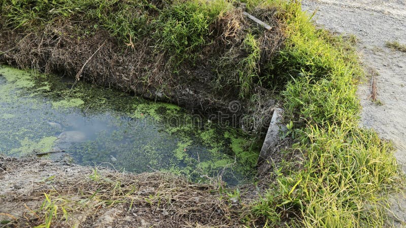 The Temporary Drainage System for the Construction Site Along the Rural ...