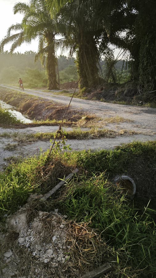 The Temporary Drainage System for the Construction Site Along the Rural ...