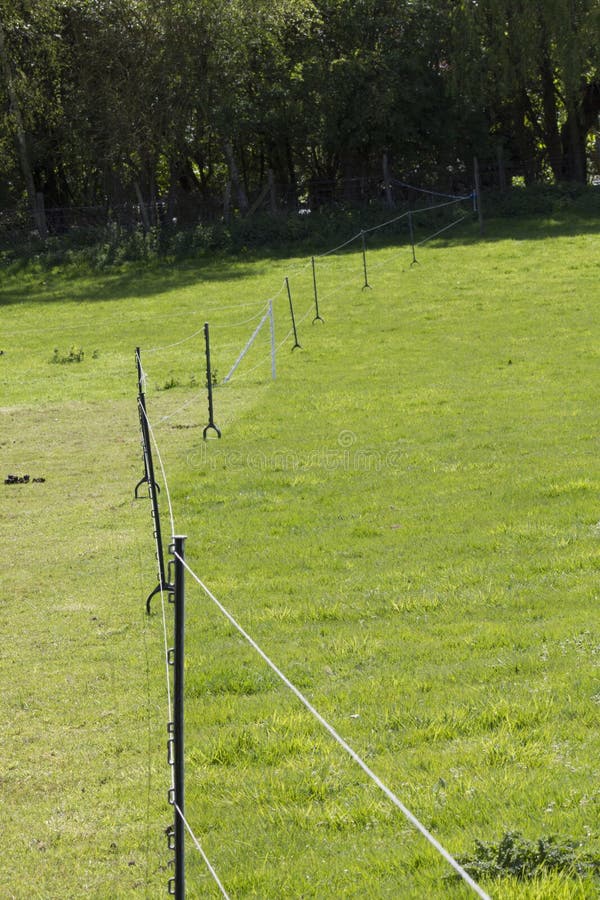Temporary Paddock Fencing Stock Photos - Free & Royalty-Free Stock ...