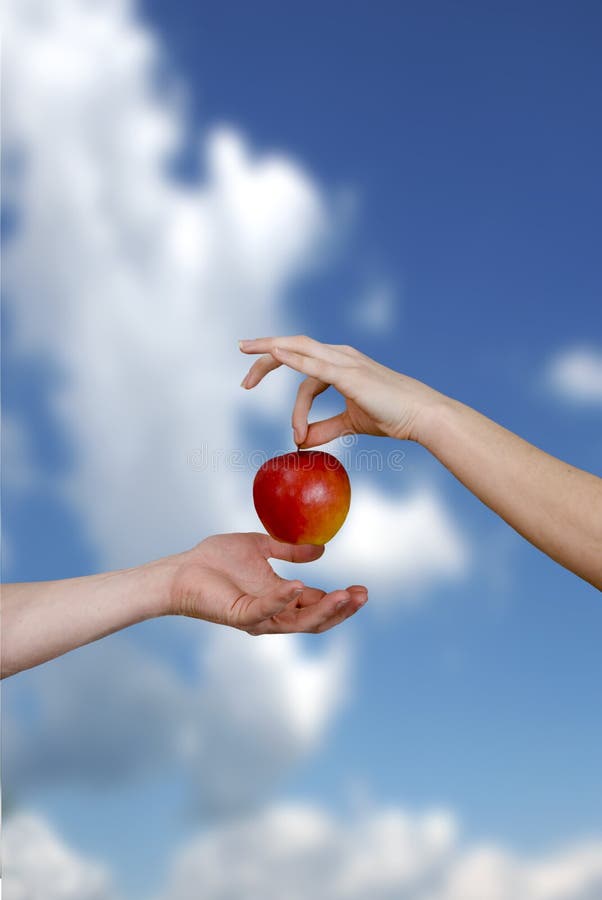Temptation stock photo. Image of apple, single, hands - 7921840
