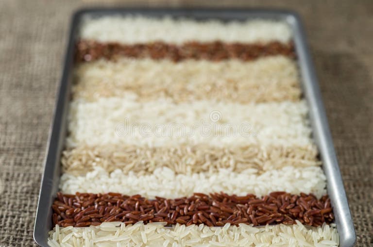 Ten Different Varieties of Rice in Rectangular Dish on the Background ...