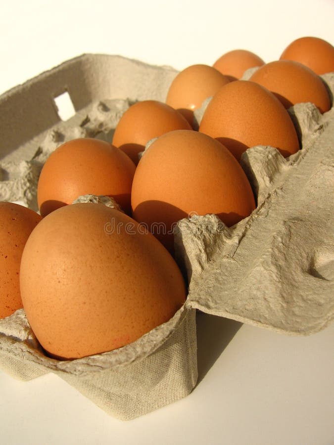 Ten eggs stock image. Image of hunger, protein, food, breakfast - 1030957