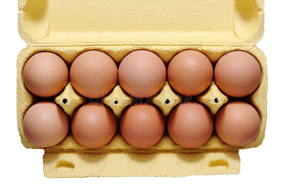 Ten eggs. stock photo. Image of white, breakfast, food - 18148720