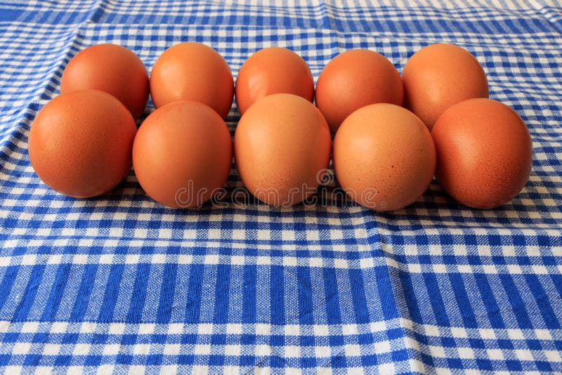 Ten eggs in a row stock image. Image of brown, dozen - 188668301