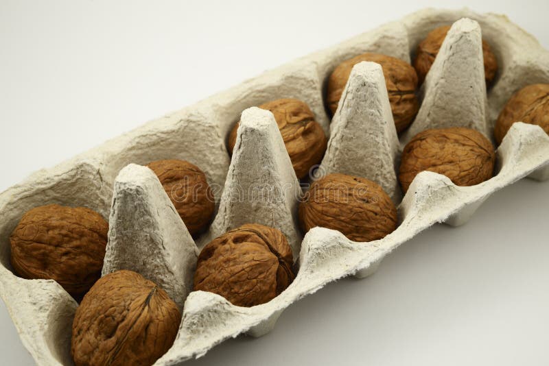 Walnut Carton Stock Photos - Free & Royalty-Free Stock Photos from ...