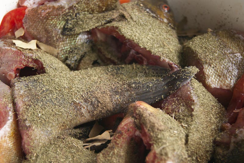 Tench with dry dill stock image. Image of smoked, fresh - 58146687