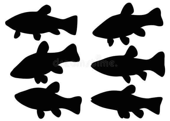 Tench fish in the set. stock vector. Illustration of black - 203302933