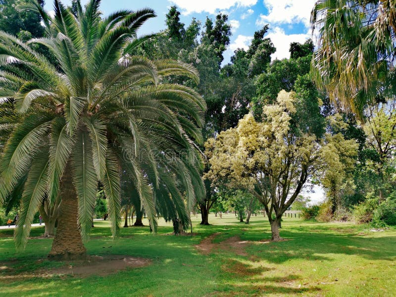 Tench Reserve Stock Photos - Free & Royalty-Free Stock Photos from ...