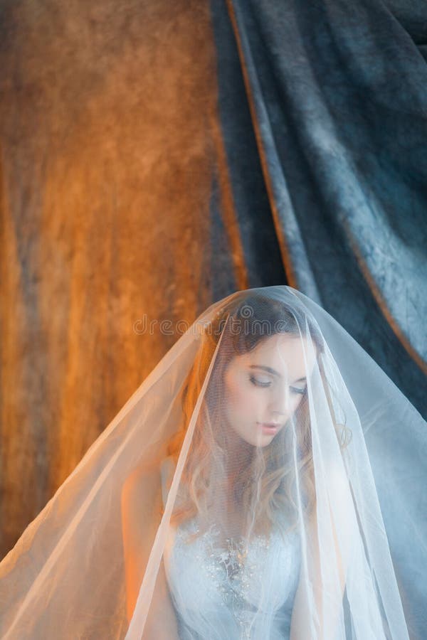Tender Bride Under the Veil Stock Image - Image of portrait, alone ...