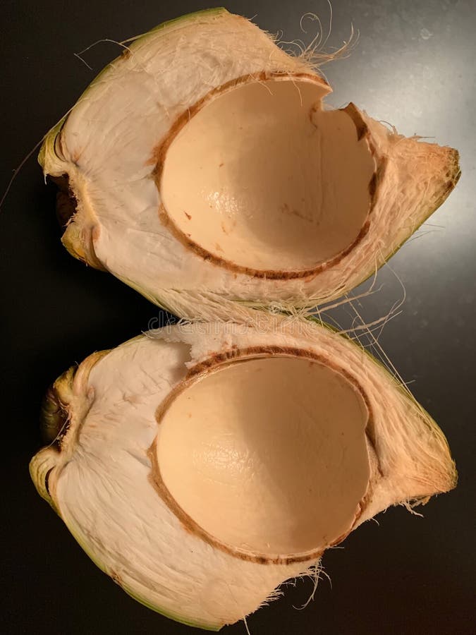 Red Tender Coconut in Its Own Tree Stock Image - Image of green, fruit ...